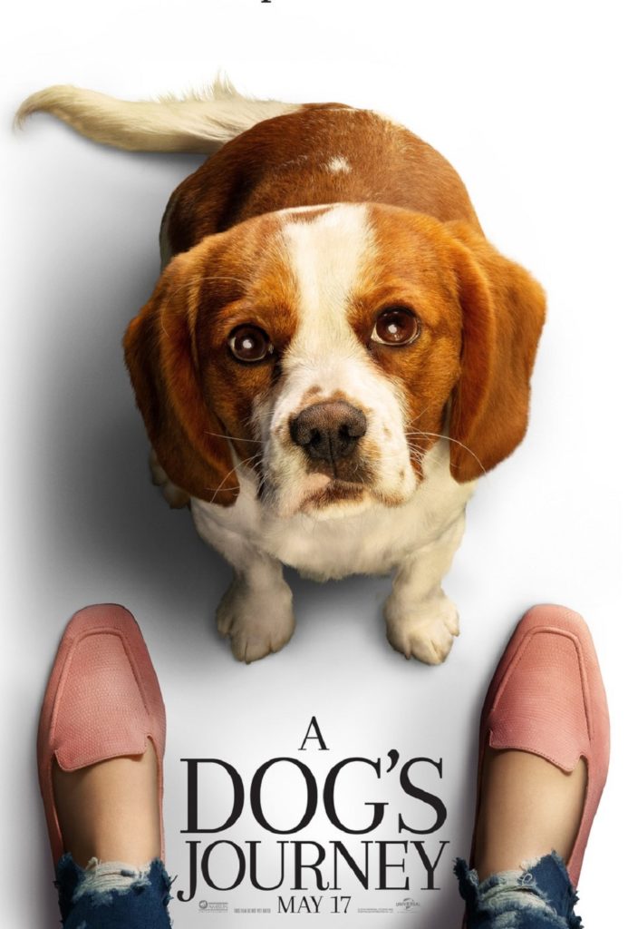 A DOG S JOURNEY The Movie Spoiler A DOG S JOURNEY The Movie Spoiler